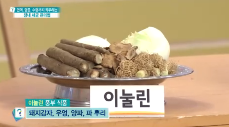 무엇이든 물어보세요 면역염증수명까지 좌우하는 장내 세균 관리법