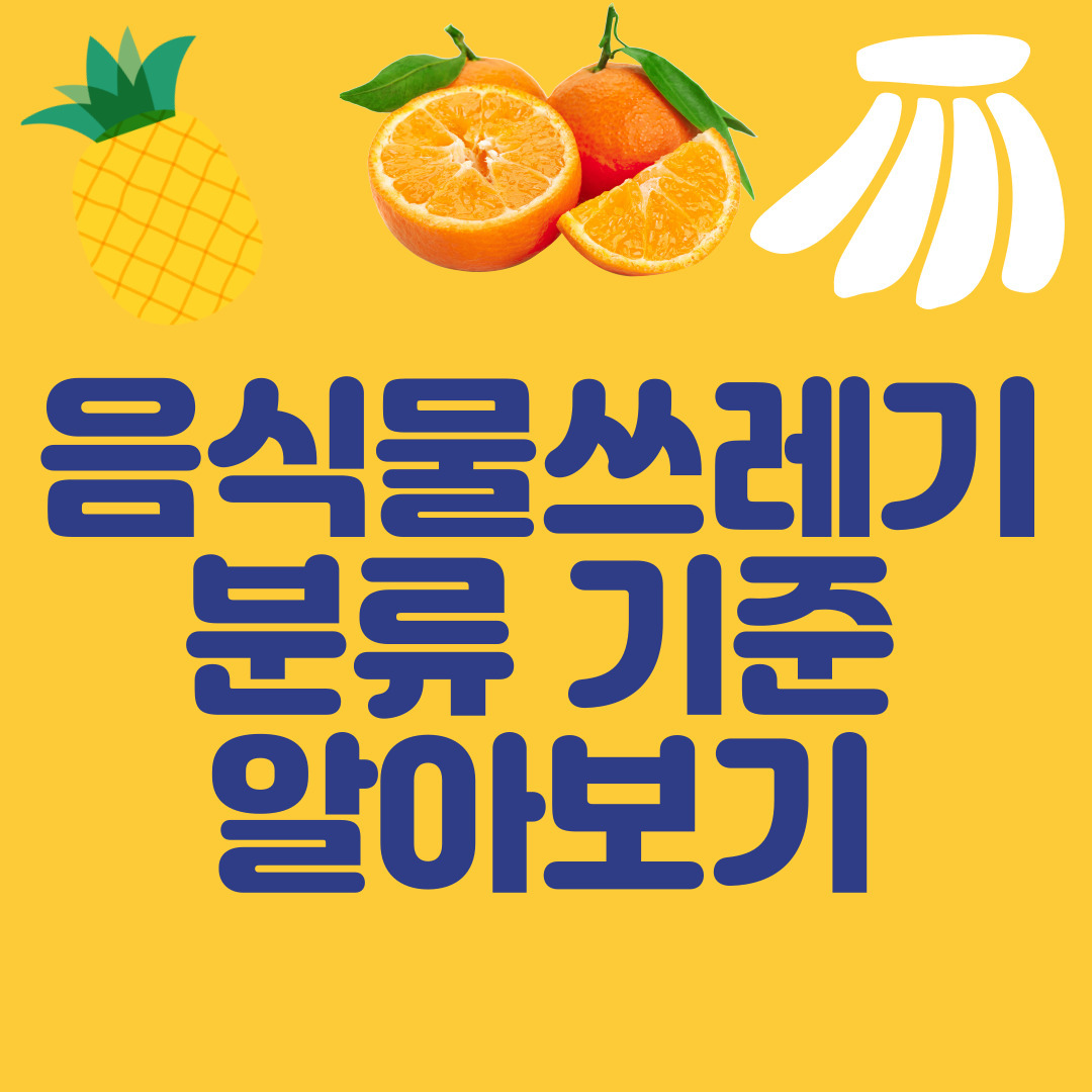 귤껍질 잘못 버리면 과태료 10만원 헷갈리는 음식물쓰레기 분류 기준 알아보기