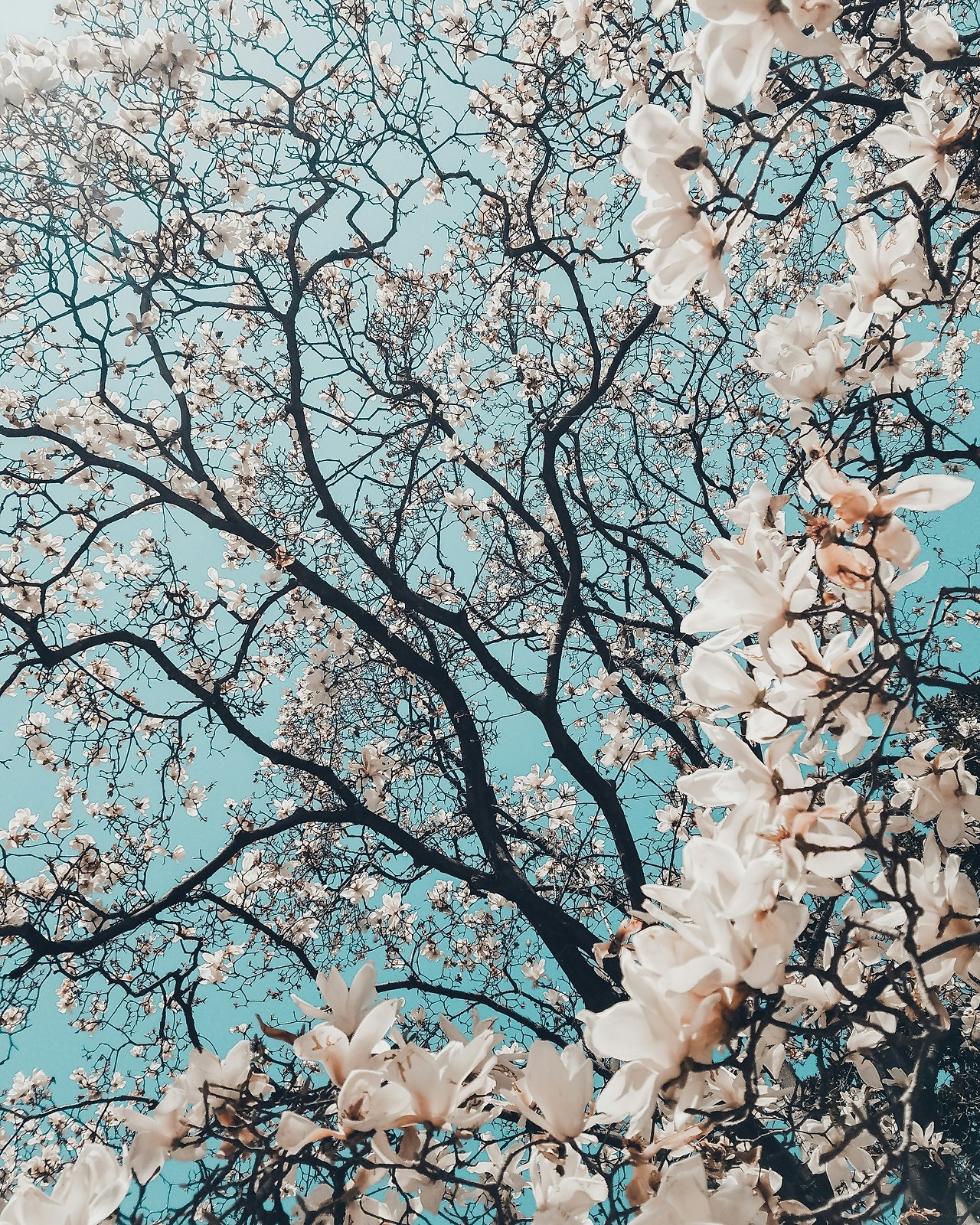 부평세무서 민원실 전화번호 및 이용 안내