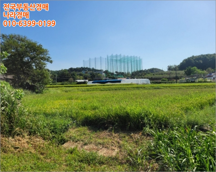 충남홍성토지답경매 2023타경2926 홍성 토지답경매충남 홍성군 홍동면 신기리