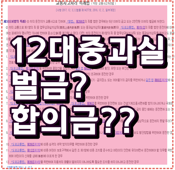 12대중과실 교통 사고 벌금 및 합의금 교통사고처리 특례법 2017년 화물고정조치 위반 추가로 11대중과실 에서 교통사고