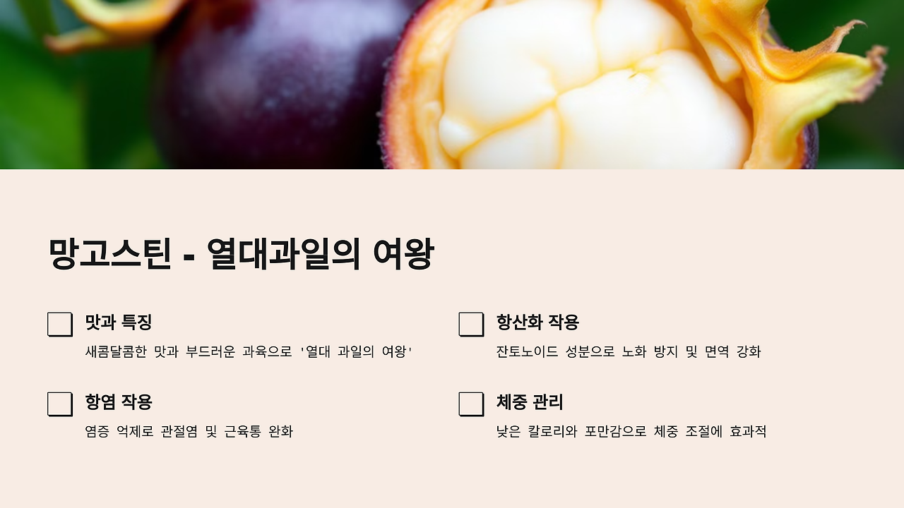 열대과일 종류 완벽 정리 맛과 효능으로 알아보는 인기 과일 🌴🍍🥭