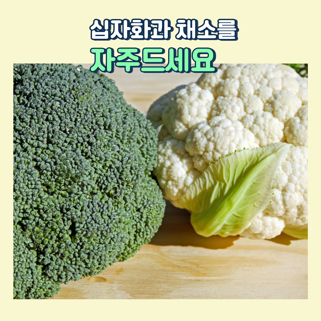 건강관리 전립선 암 환자입니다 전립선암 치료 후 건강관리 어떻게 하면 되나요