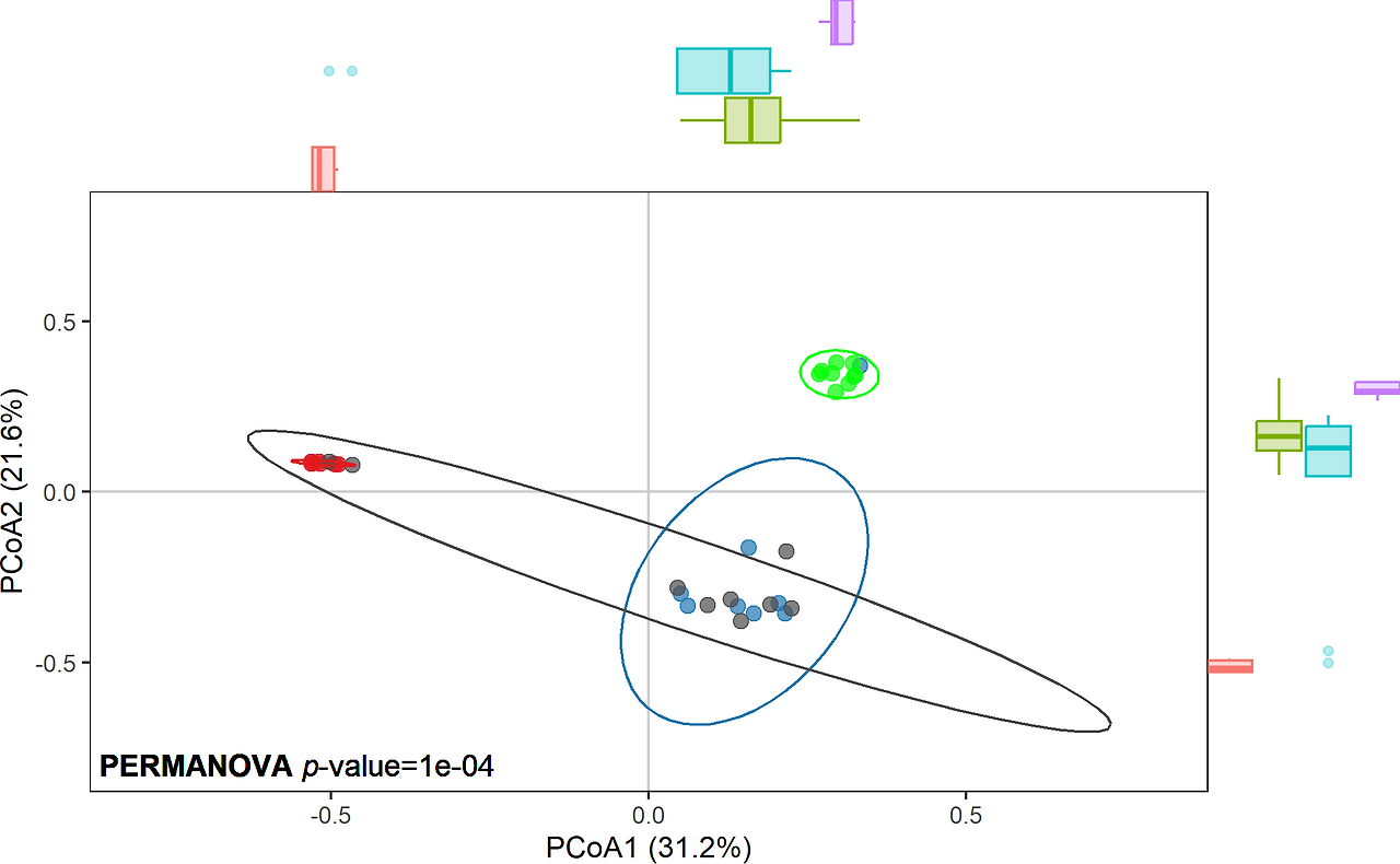 [R] PCoA 에 가장자리 plot 추가하는 5가지 방법 The five methods for beta diversity side panel — Bioinfo_newbie