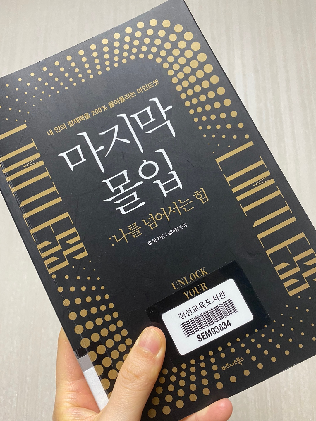 내 안의 잠재력을 200 끌어올리는 마인드셋 마지막 몰입 나를 넘어서는 힘짐 퀵