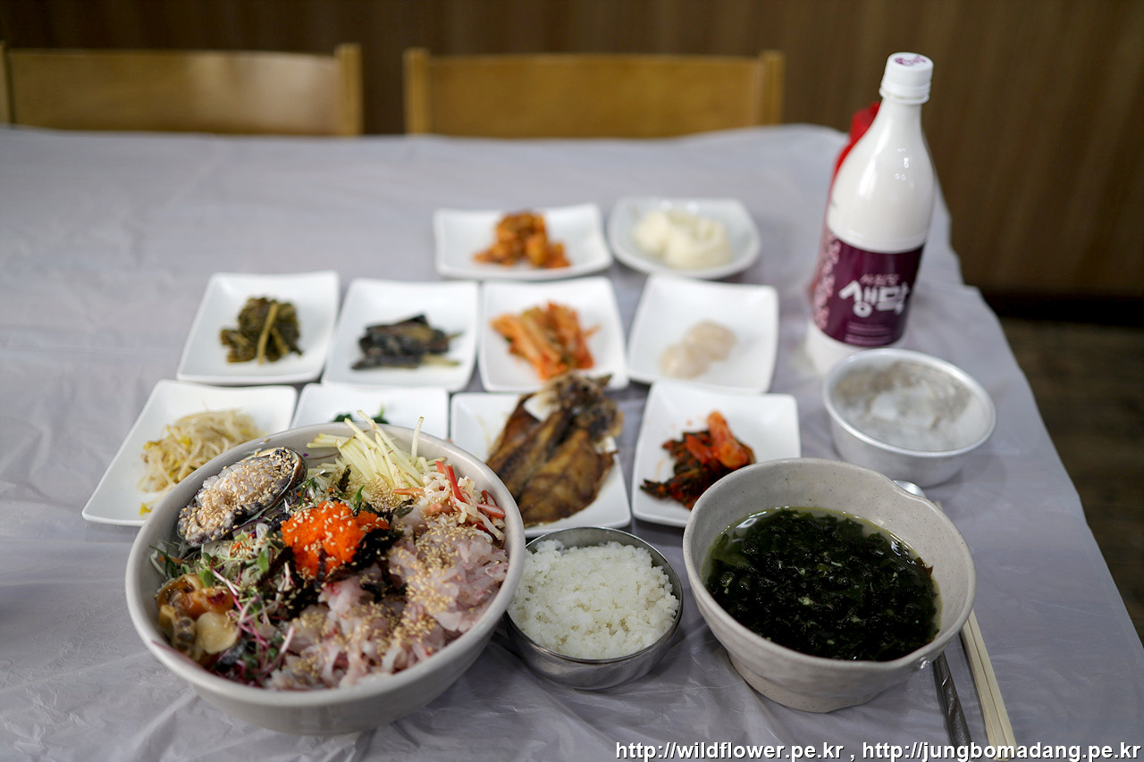 강원도 양양 휴휴암 기사문해변 삼팔횟집 하조대해변 대중교통 당일치기 여행 2023 12 29