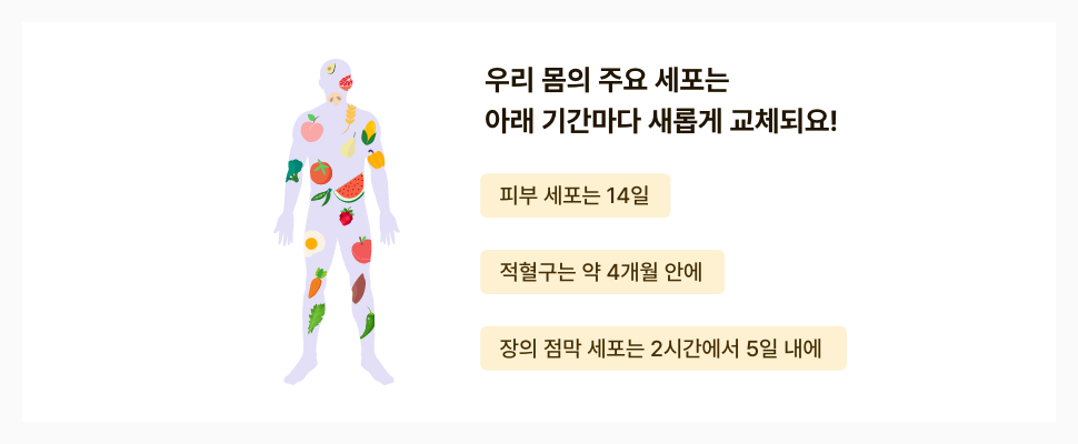 부자는 3대를 간다 Nono 내가 먹은 음식이 3대를 간다