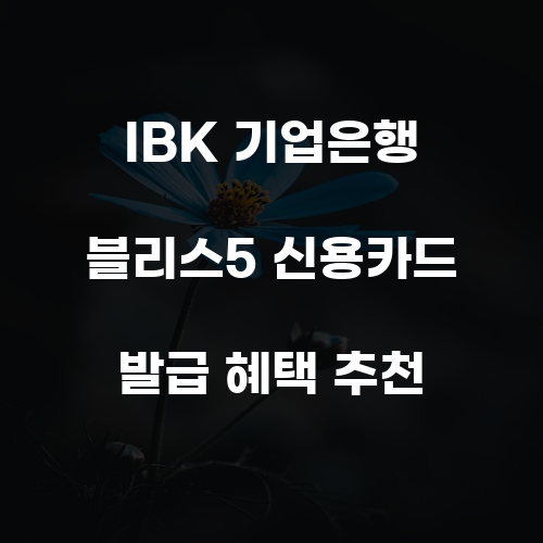 IBK 기업은행 블리스5 신용카드 발급 혜택 추천