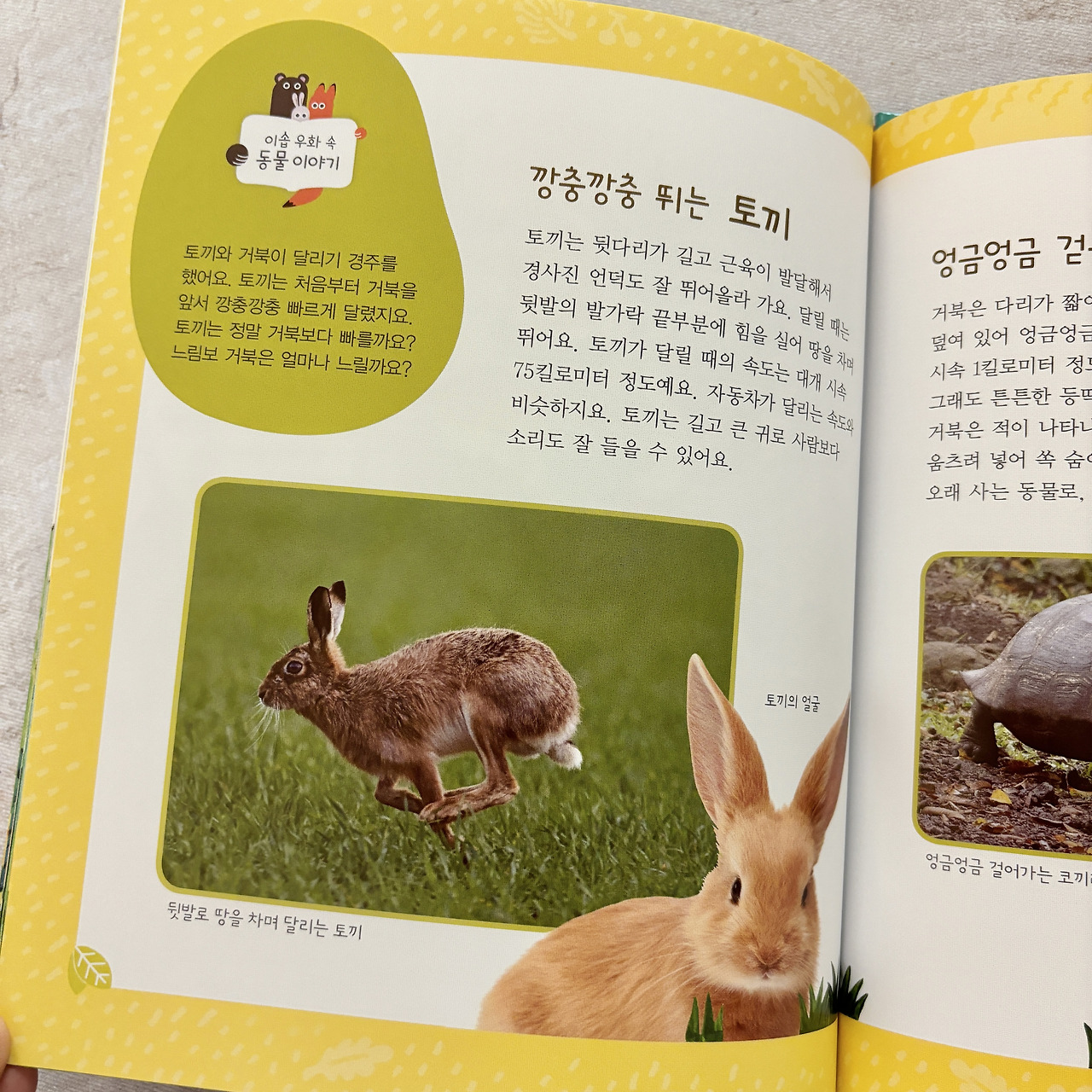 베스트 이솝우화 5세 6세 소전집 추천 그레이트북스 소전집 이솝우화책