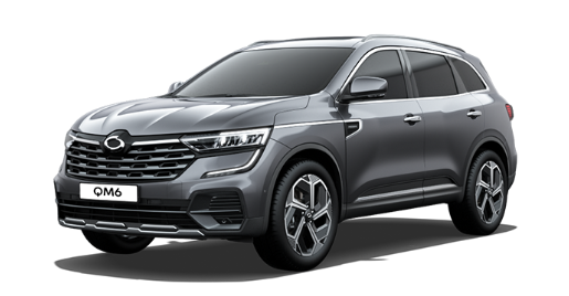 QM6 가격표 | 밴 LPG 연비 제원 단점 | 2024년 가격