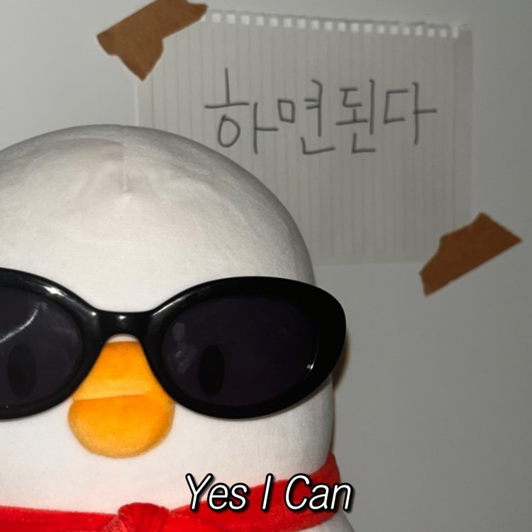 Python 문법 기초 조건문 — Se0ehe