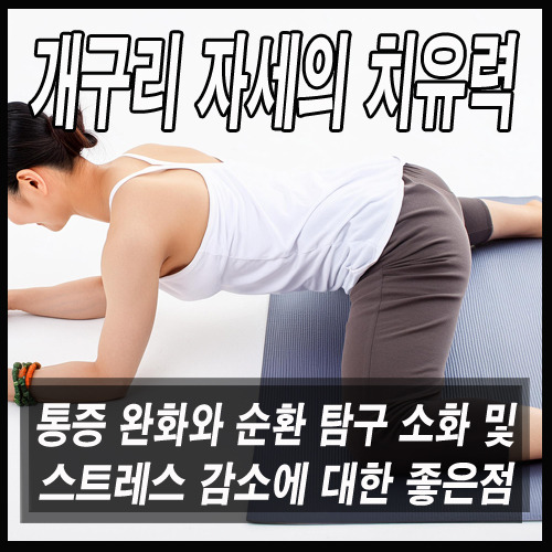 개구리 자세의 치유력 통증 완화와 순환 탐구 소화 및 스트레스 감소에 대한 좋은점