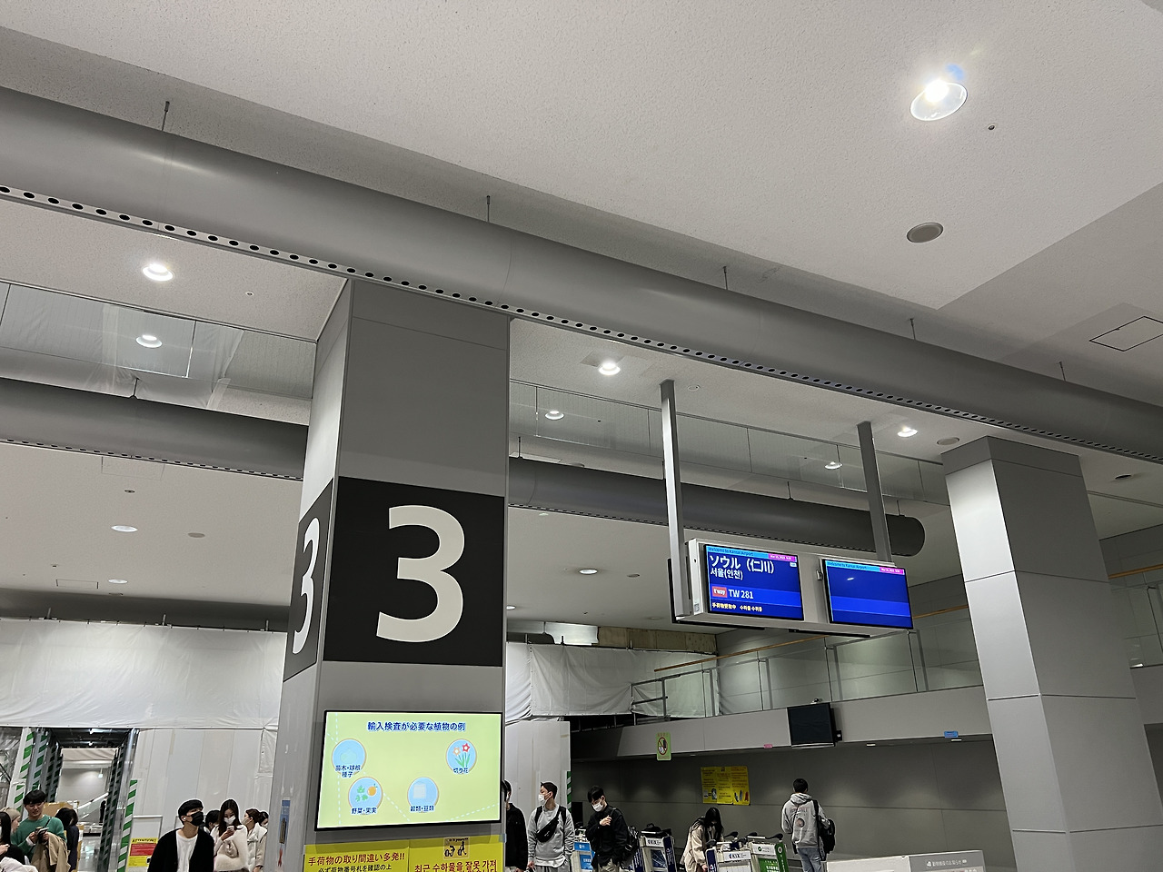 티웨이 체크인 및 탑승수속 오사카 간사이 공항 입국
