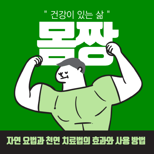 자연 요법과 천연 치료법의 효과와 사용 방법 허브 차 음용 아로마테라피 자연 치료제 활용법 등