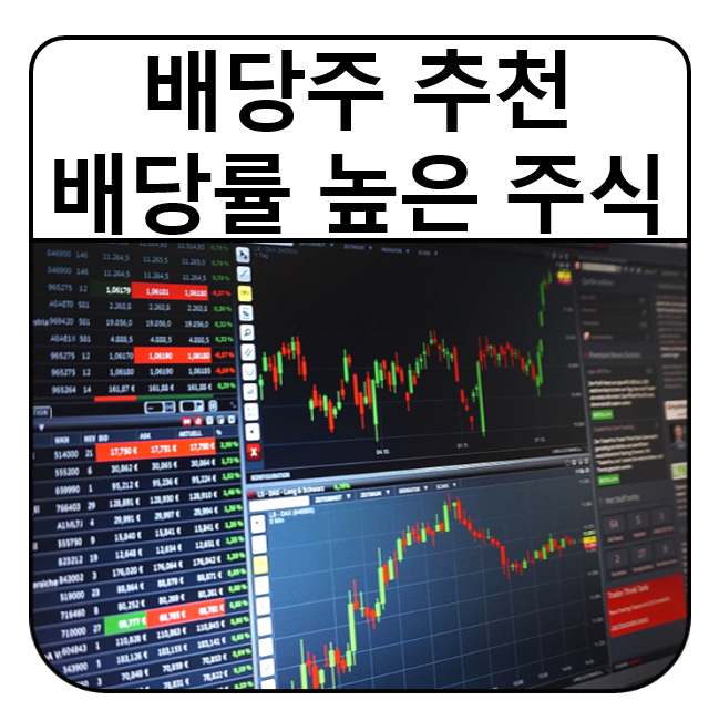 배당금 높은 주식 추천 국내 배당주 순위 정리알쓸신블