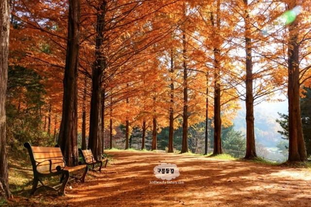 가을 충청도 가볼만한곳 베스트 10 여행지 추천