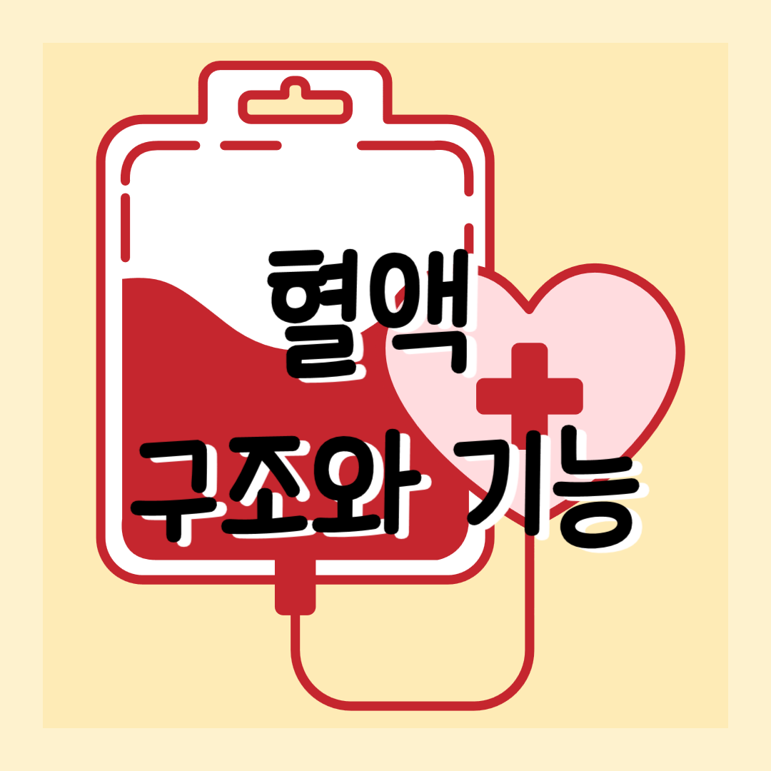 혈액 구조와 기능적혈구 백혈구 혈소판 관여 신체기관임상진단검사