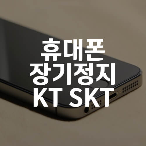 KT SKT 휴대폰 일시정지 장기정지 세계여행