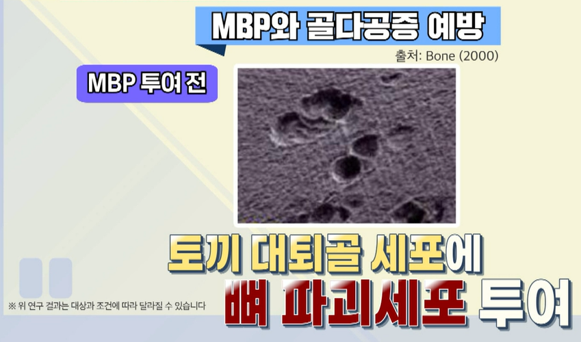 MBP 단백질 효능, 가격, 주의사항 정리 - 5분전 유용한 건강, 요리 소식