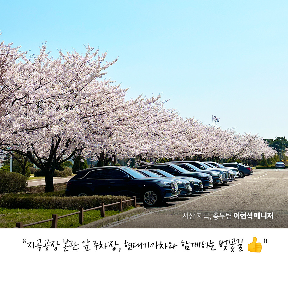 임직원들이 전하는 현대트랜시스의 봄