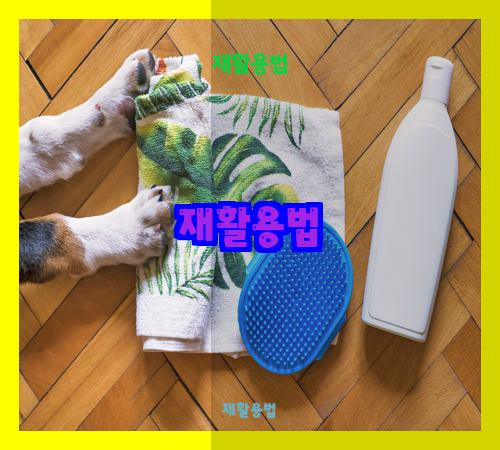 유통 기한 지난 샴푸 활용법 세탁 세제 자동차 세척제 화장지 세척제 등으로 재활용