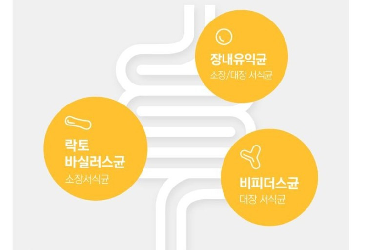 모든 건강의 밀접한 관계를 가지고 있는 장이 우리의 수 많은 질병과 연관이 있다