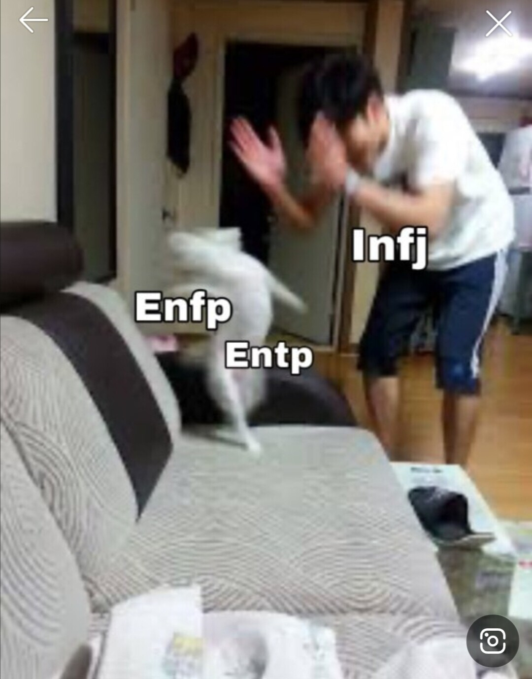 Infj 특징 연애 남자 여자 인프제