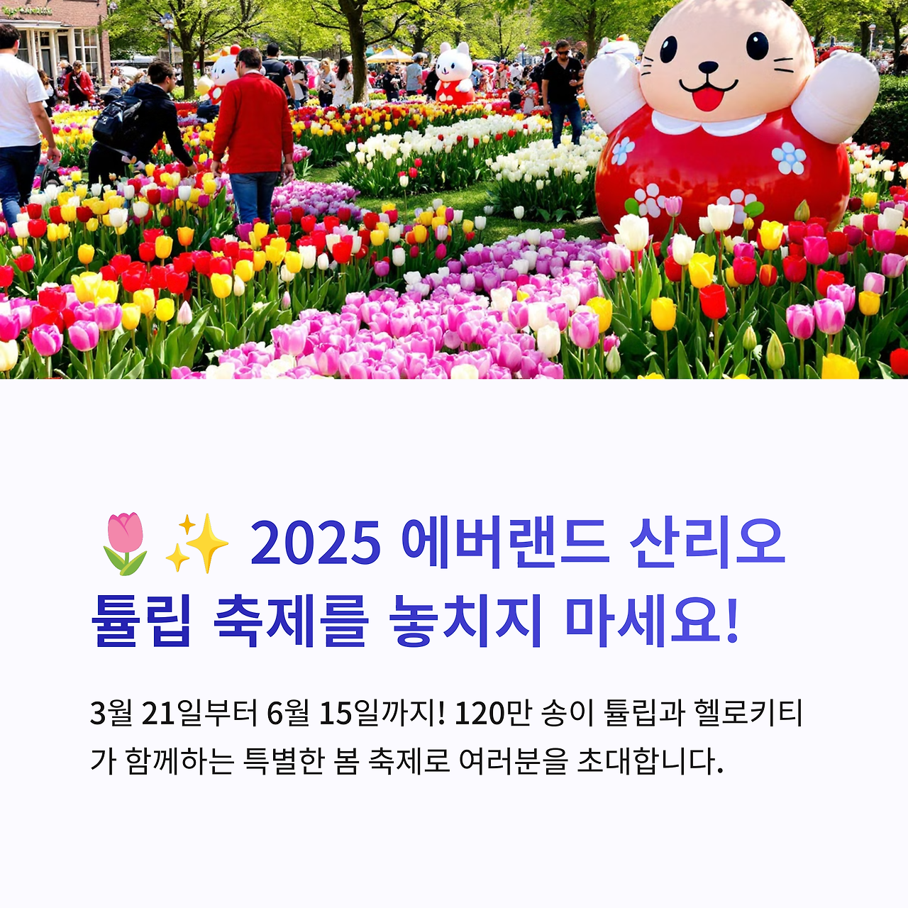 2025 에버랜드 봄 튤립 축제 총정리 산리오 캐릭터와 함께하는 꽃 카니발 놓치지 마세요