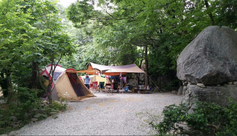 경기 가평 유명산풍차 캠핑장 예약 방법 애견 동반 가격 주소 시간 후기 댕댕캠핑 전국 애견동반 캠핑장
