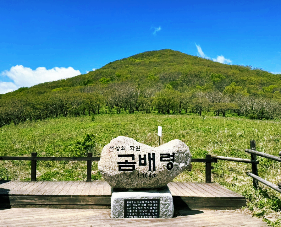 인제 점봉산 곰배령 탐방 예약 코스 야생화 천국 천상의 화원