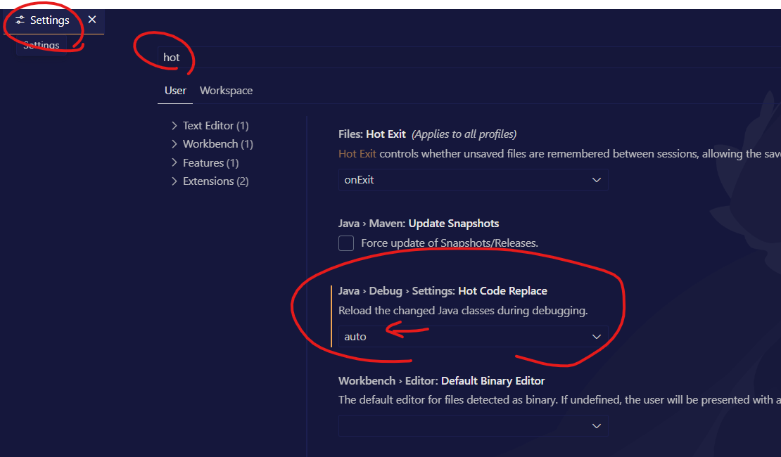 Springboot - vscode에서 hot swapping 셋팅