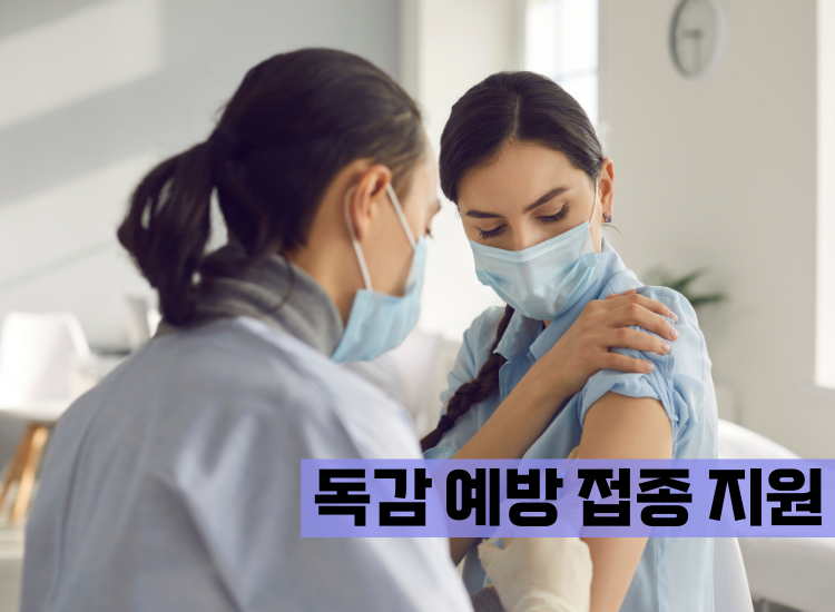 어린이 임신부 어르신 독감 예방 접종 대상 및 기간 지정의료기관 찾기