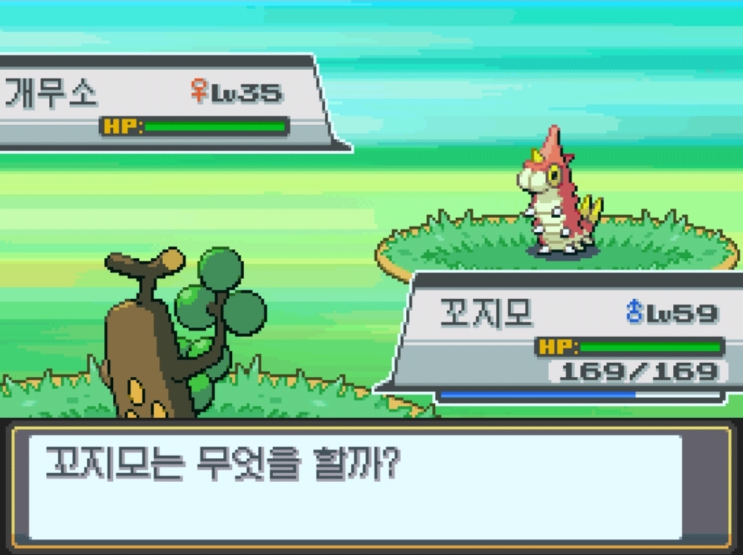 포켓몬스터 하트골드소울실버 곤충채집대회 전국도감 입수 후