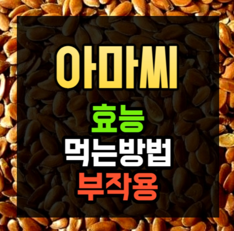 아마씨먹는방법 아마씨효능 아마씨부작용