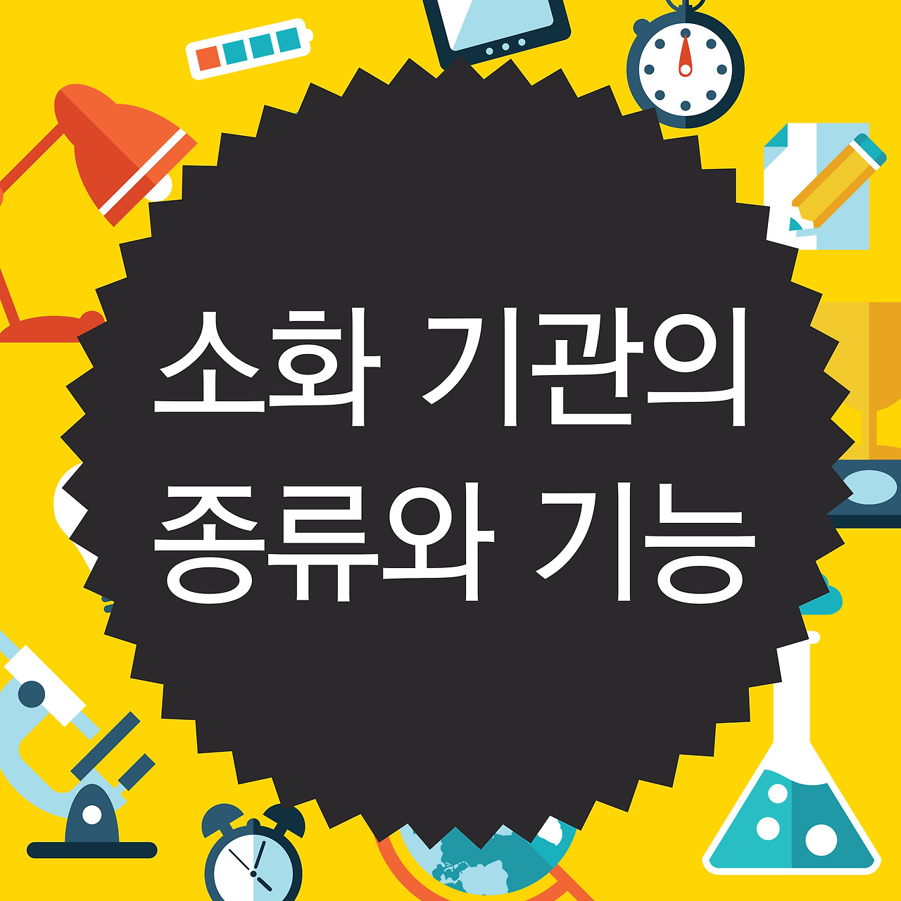 소화 기관의 종류와 기능 및 구조입 식도 위 작은창자 큰창자 항문