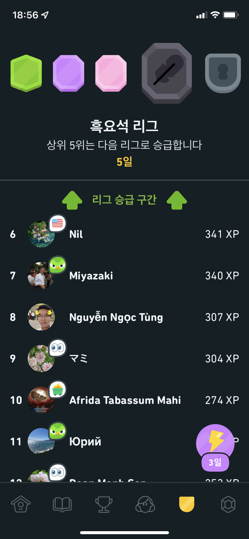 무료 왕초보 영어 공부 앱 듀오링고 Duo Lingo