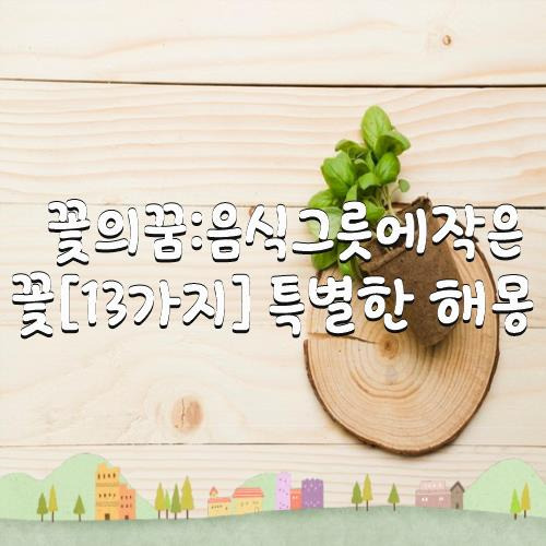 꽃의꿈음식그릇에작은꽃 13가지 특별한 해몽