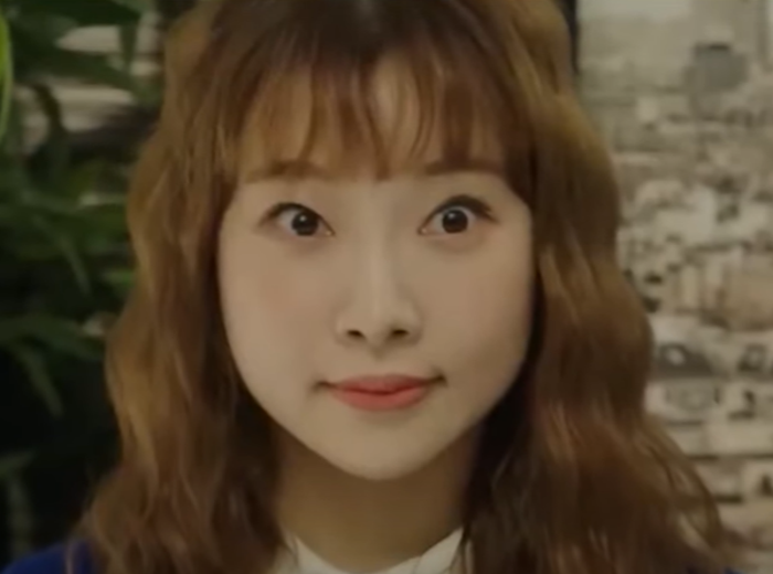 김아영 프로필 핵심요약 자기소개 나이 본명 과거