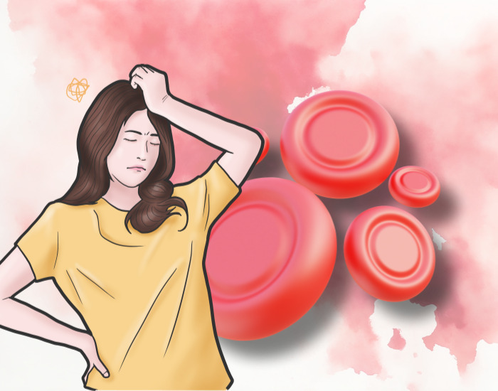 망상적혈구수 Reticulocyte 의미 뜻 정상수치 및 높을때 낮을때 문제점 개선방법