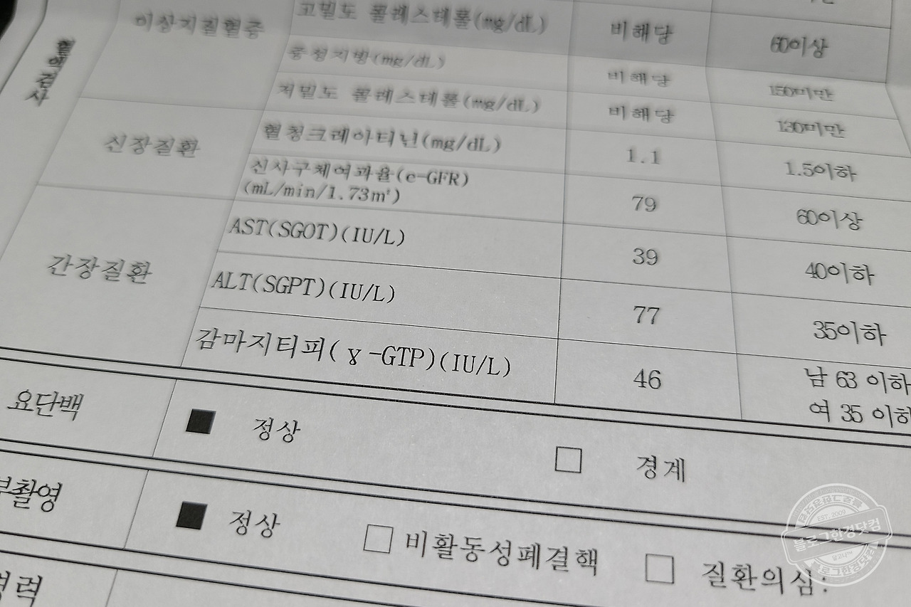 국민건강검진 간수치 Alt 기준 초과 초음파 간검사 지방간 판정 블로그한경닷컴