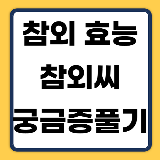 참외 효능 및 참외씨 궁금증 알아보기설사 임산부가 먹어도