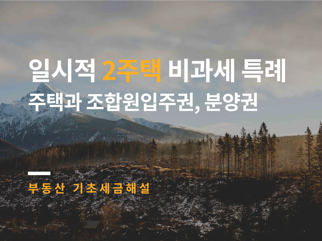일시적 2주택 비과세 특례 정리주택과 조합원입주권 분양권
