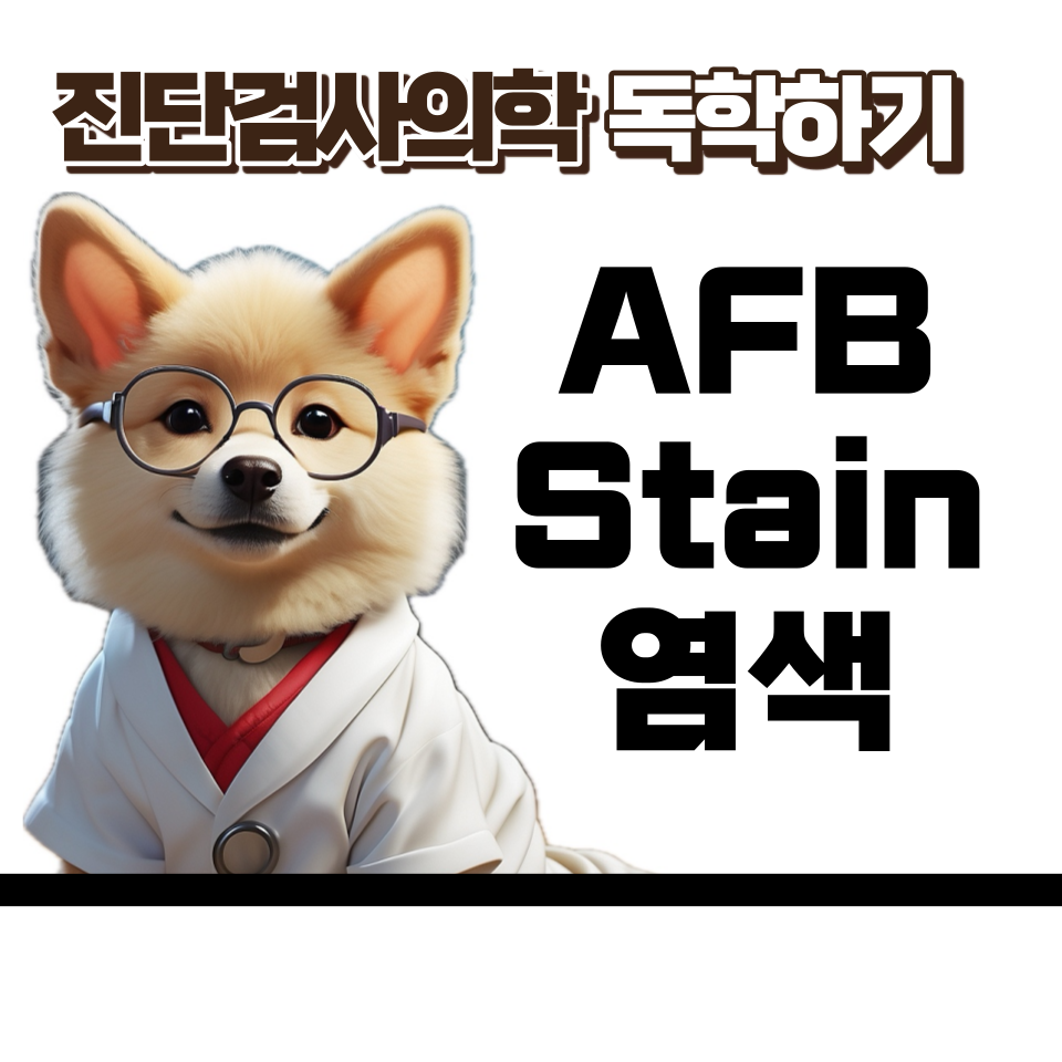 Afb염색 Afb Stain 검사 항산성균 염색 방법 결핵균 감별 Afb염색방법과 결과