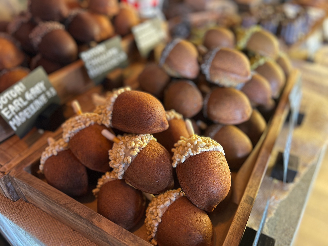 삼각지 일본 여행온 것 같은 느낌의 "도토리" 카페 후기 / 용리단길에서 추천할 만한 최고의 카페 / 삼각지 데이트 추천