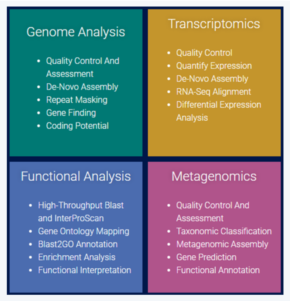 나만 알고 싶은 OmicsBox