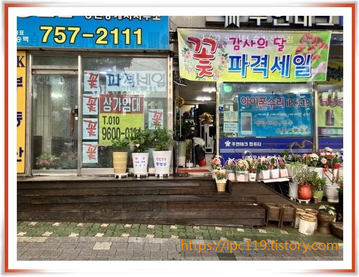 성남 태평역 꽃집 어버이날 꽃 중앙시장 수진동 태평동