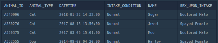 [programmers - MySQL] SELECT: 모든 레코드 조회하기