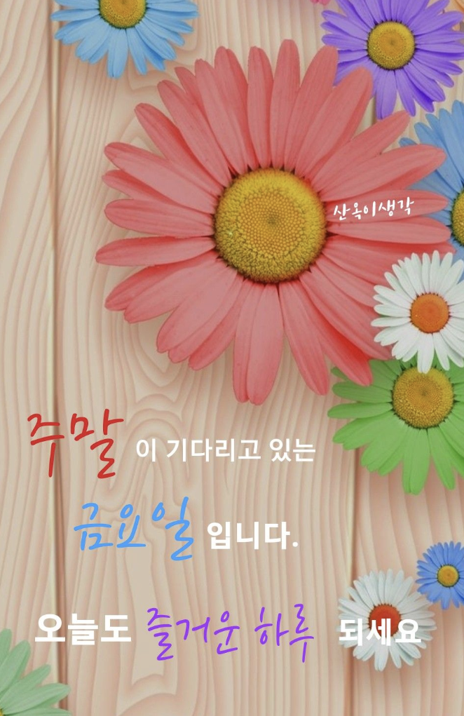 금요일 아침인사말 이미지 20가지 깔끔정리 생활일꾼
