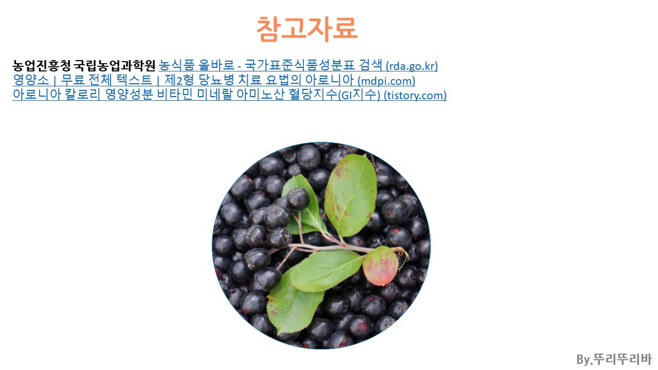 당뇨 아로니아 혈당지수당지수 당부하지수 Gi Gl 효능 효과