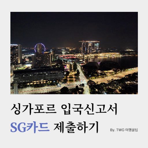 싱가포르 입국신고서sg카드 작성방법 따라하면 끝